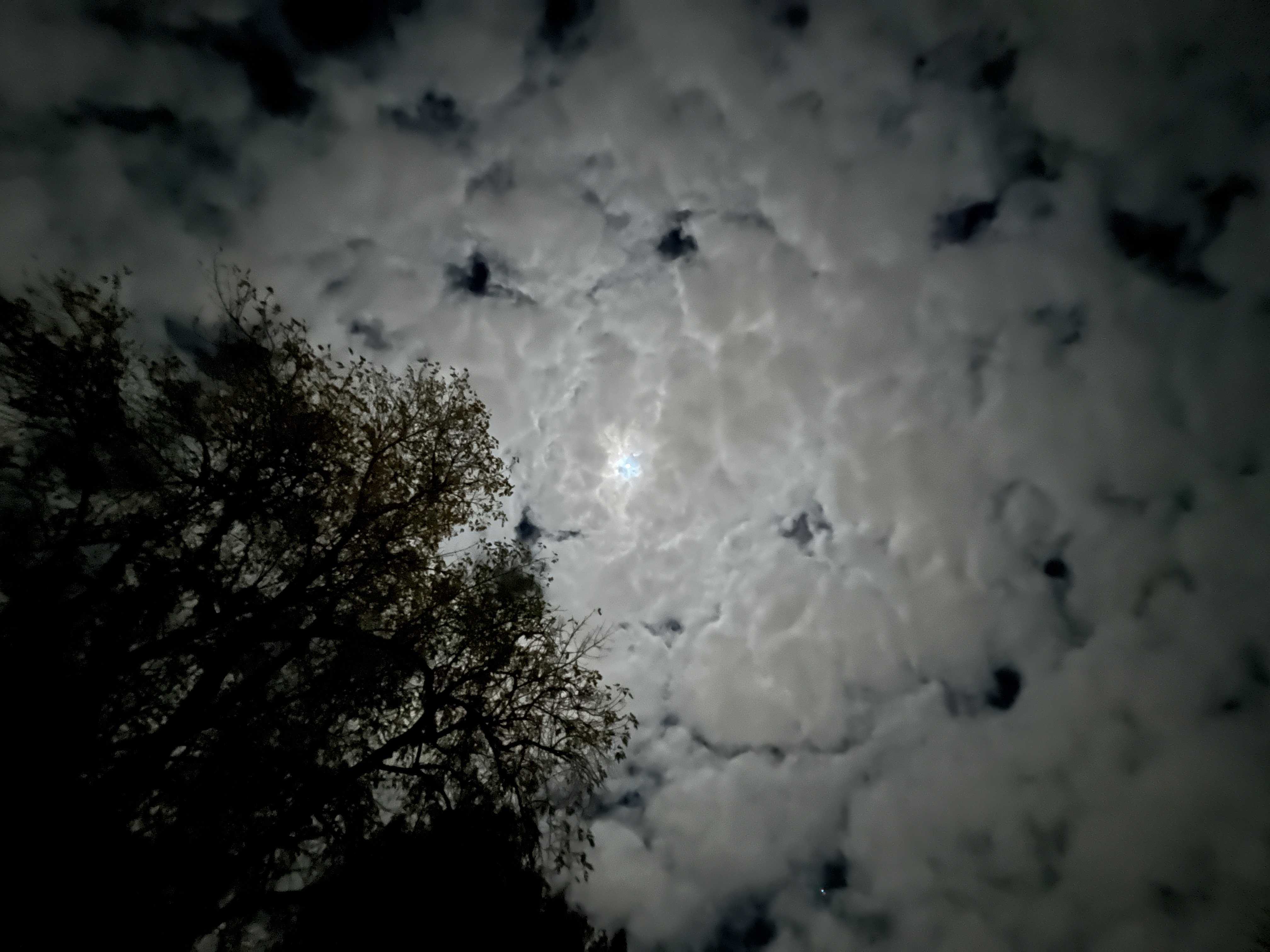 Full Moon & Rain | We Love The Stars Too Fondly