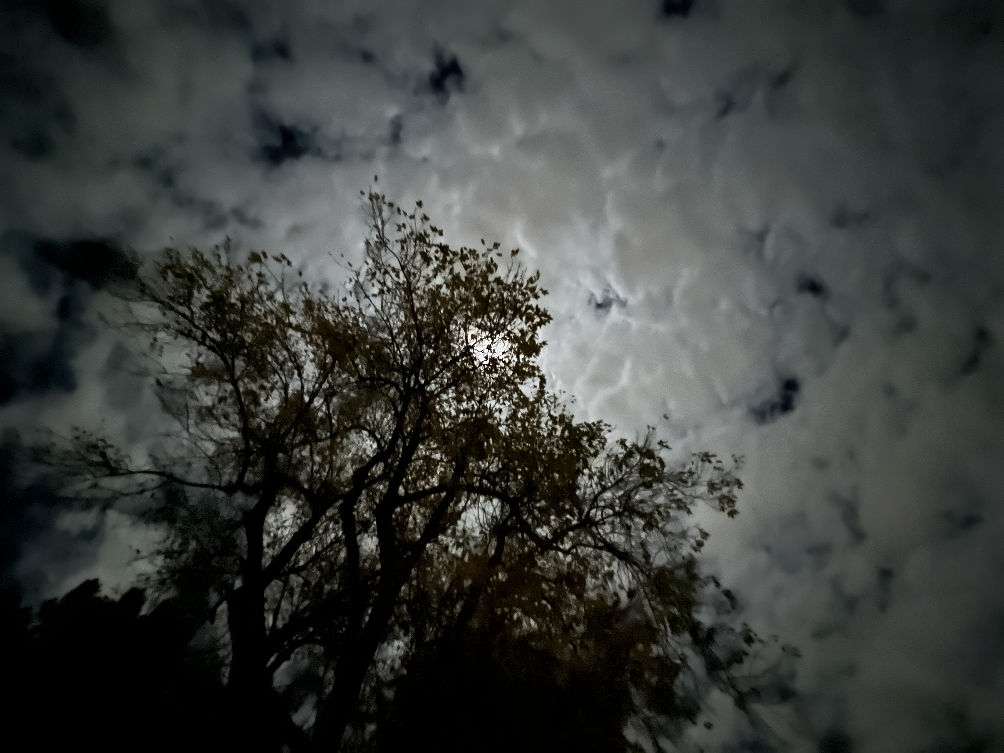 Full Moon & Rain | We Love The Stars Too Fondly