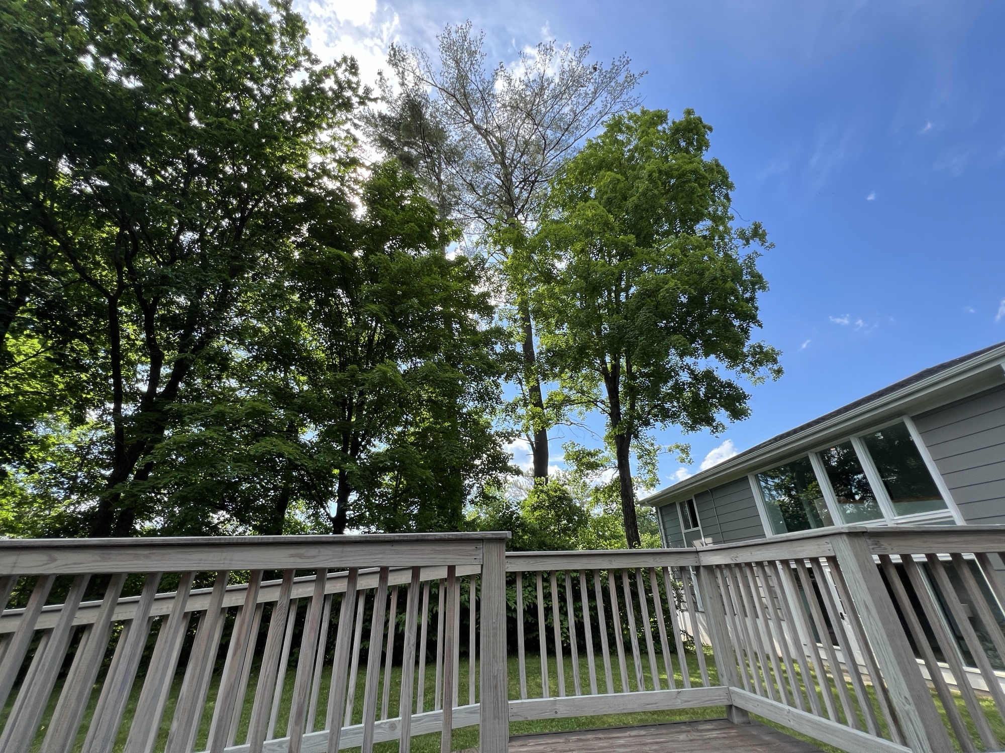 Best Nap EVER! | We Love The Stars Too Fondly