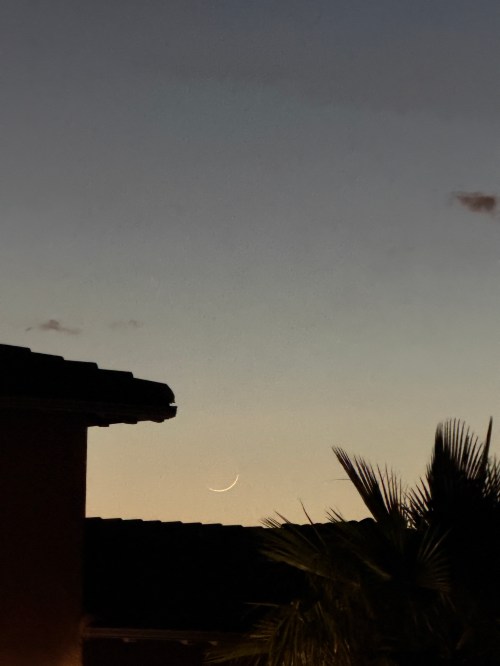 Less Than 25 Hours | We Love The Stars Too Fondly